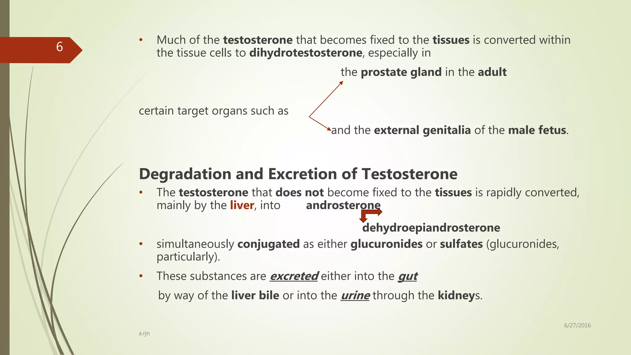 Male sex hormones | PPTX