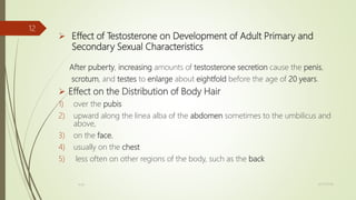 Male sex hormones | PPTX