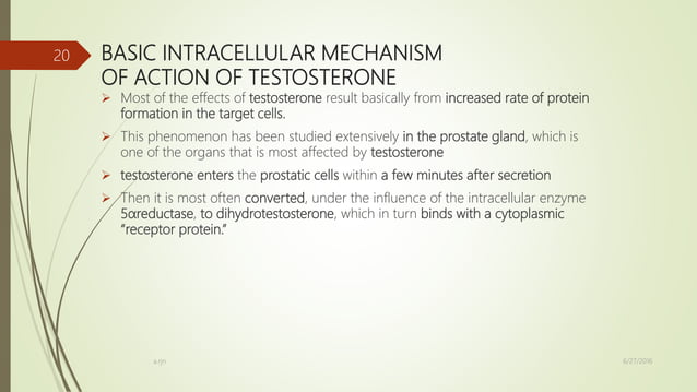 Male Sex Hormones Pptx Hormonal Disorders Endocrine And Metabolic Diseases
