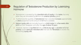 Male sex hormones | PPTX