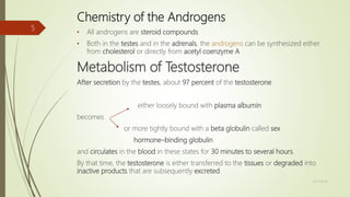 Male sex hormones | PPTX