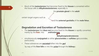 Male sex hormones | PPTX