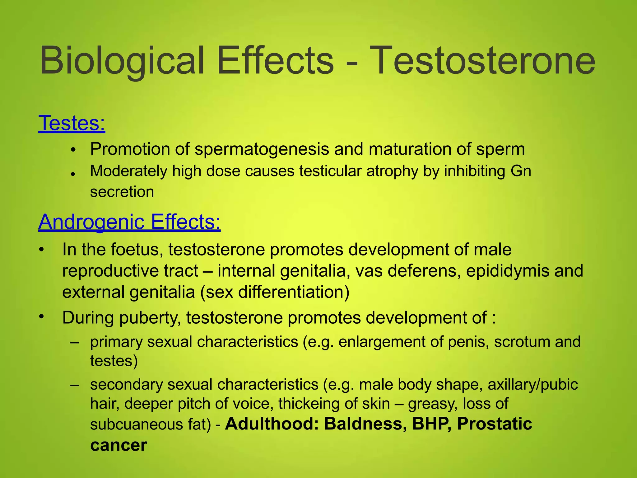 Male sex hormones | PPTX