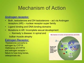 Male sex hormones | PPTX