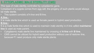 Male sterility and its role in agriculture | PPTX
