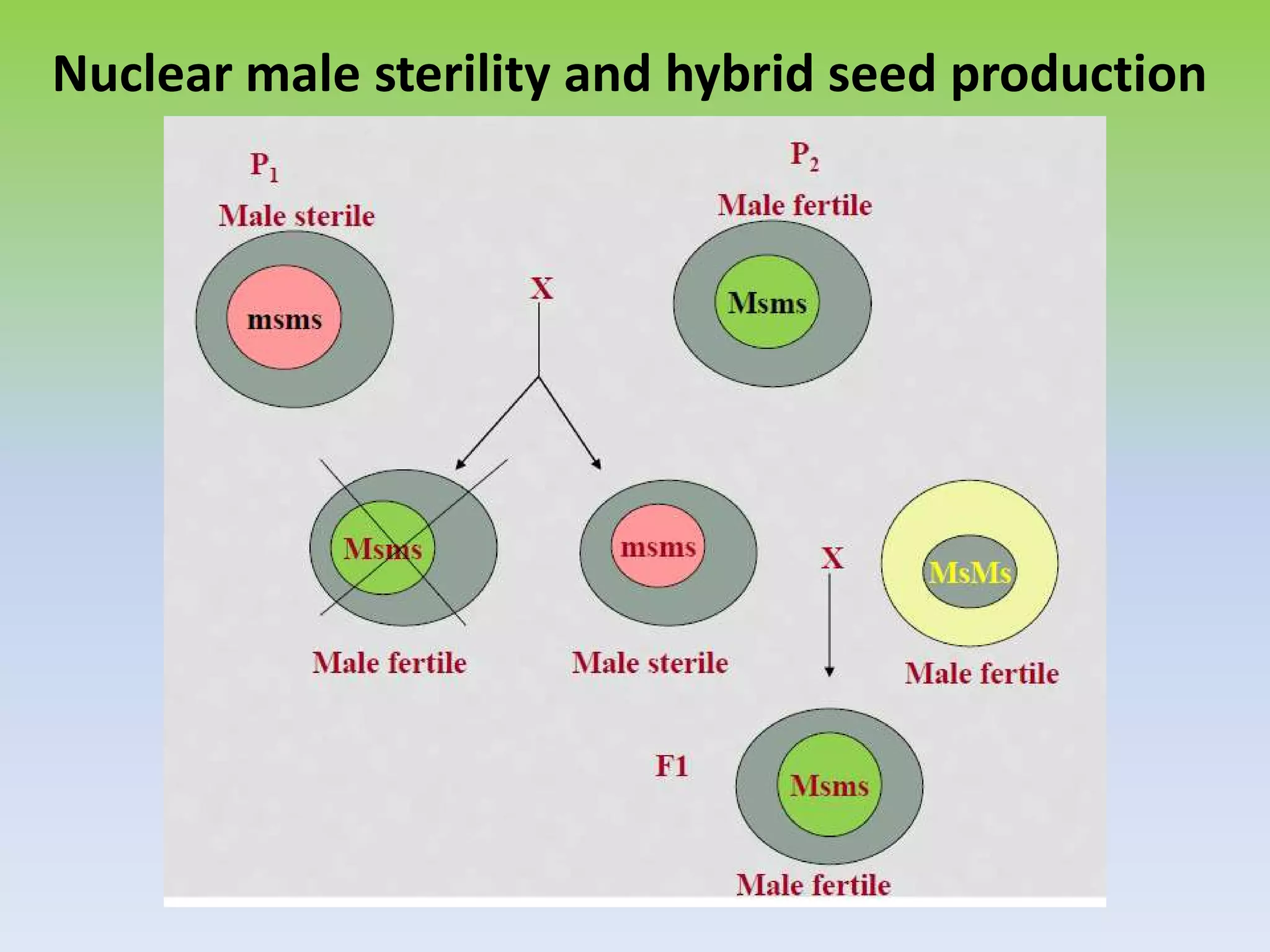 $Male sterility | PDF
