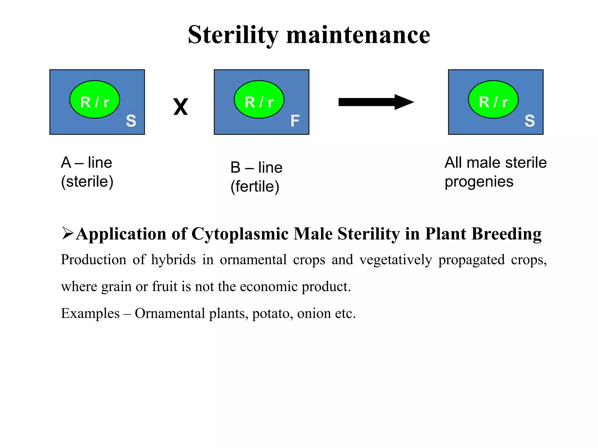 Male sterility | PPT