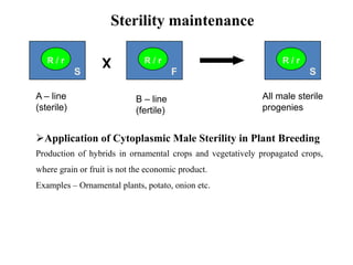 Male sterility | PPT