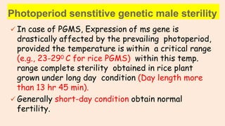 Male sterility applications in Hybrid seed production. | PPT