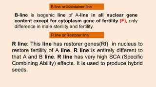 Male sterility applications in Hybrid seed production. | PPT