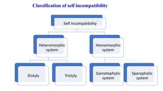Self incompatability & Male sterility.pptx