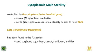 Male Sterility.pptx