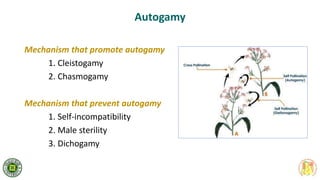 Male Sterility.pptx
