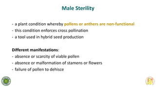 Male Sterility.pptx