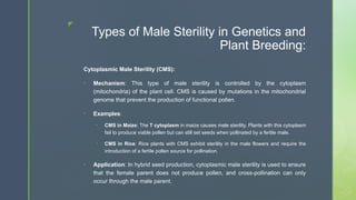MALE STERILITY (Seed Science and Technology).pptx