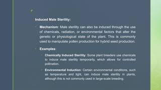 MALE STERILITY (Seed Science and Technology).pptx