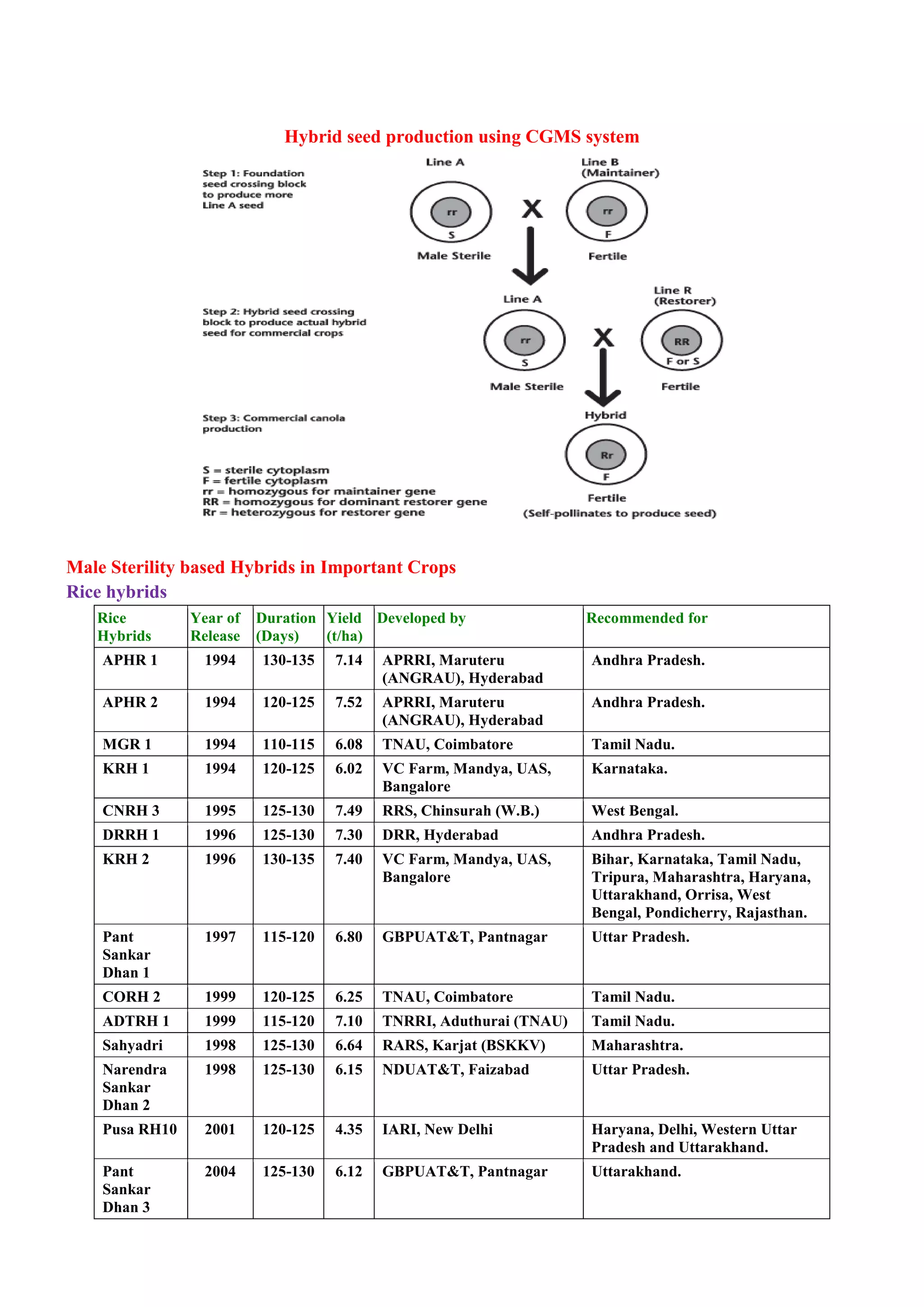 MALE STERILITY AND HYBRID DEVELOPMENT.pdf