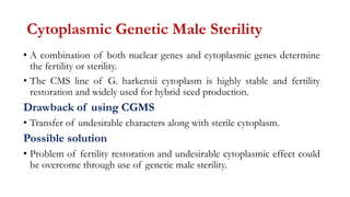 Male sterility: cost effective hybrid seed prodution in Cotton.pptx