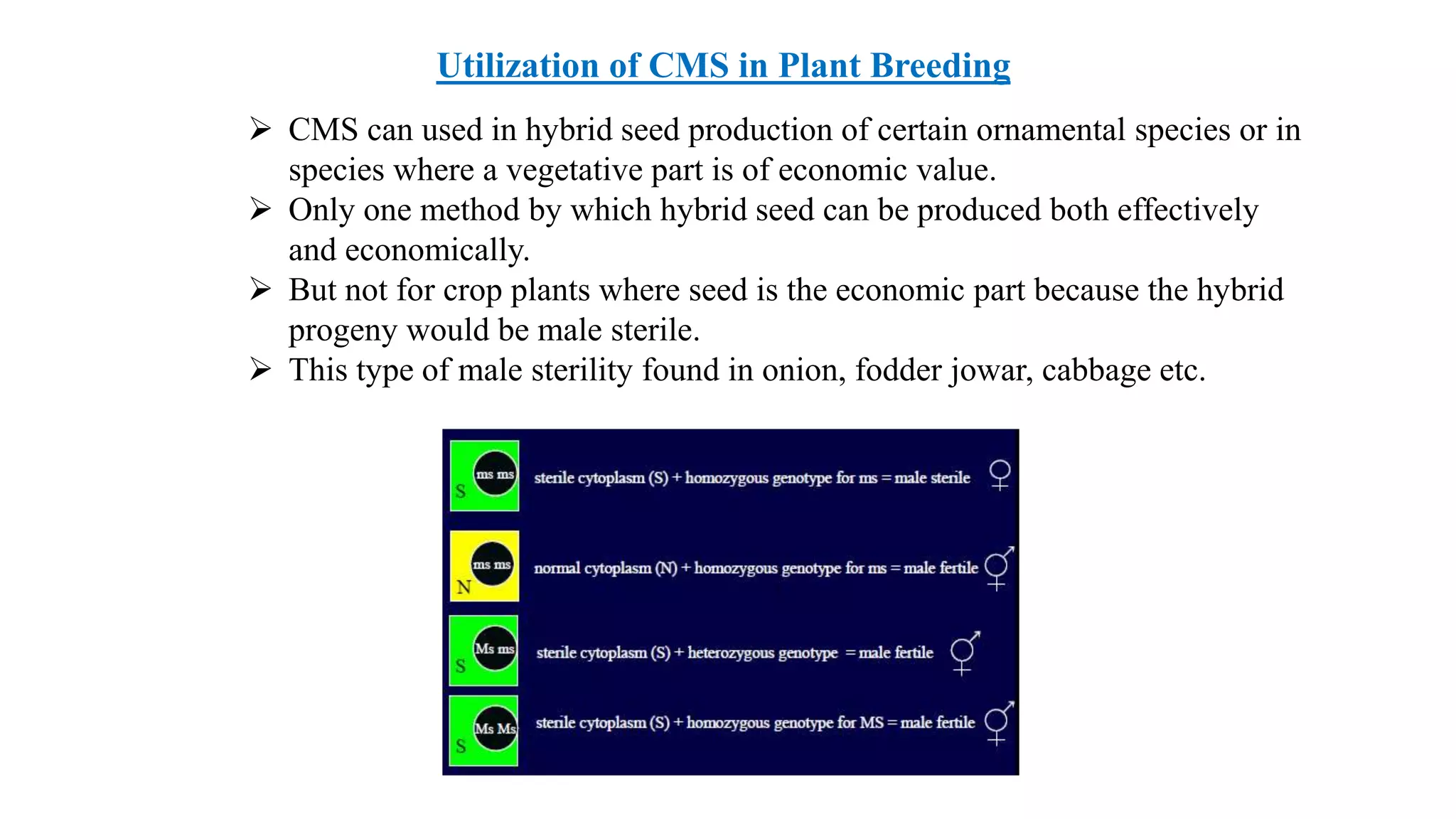 Male sterility in plant breeding | PPTX
