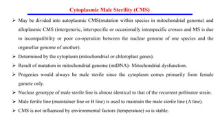Male sterility in plant breeding | PPTX