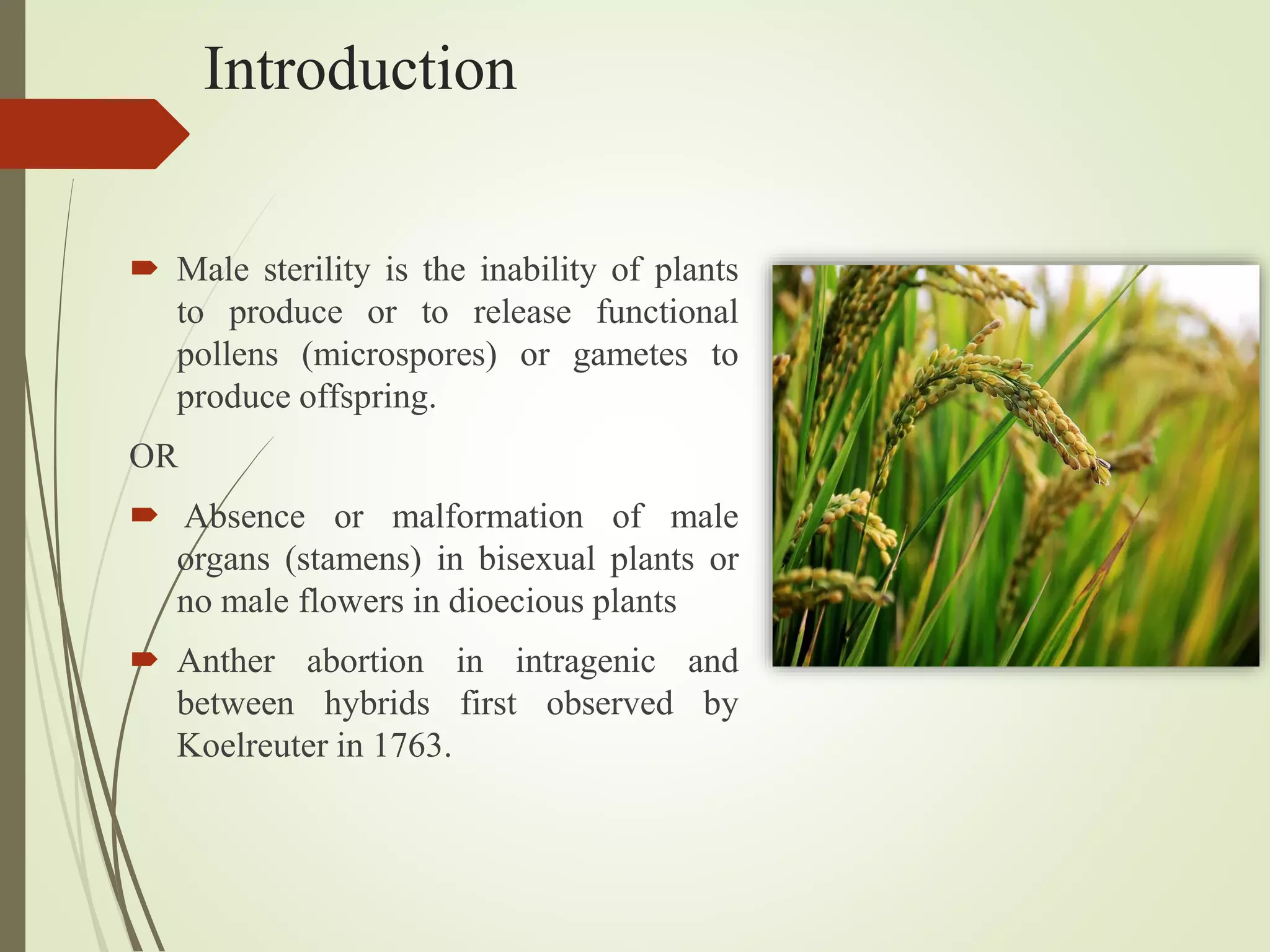 Male sterility in plants | PDF