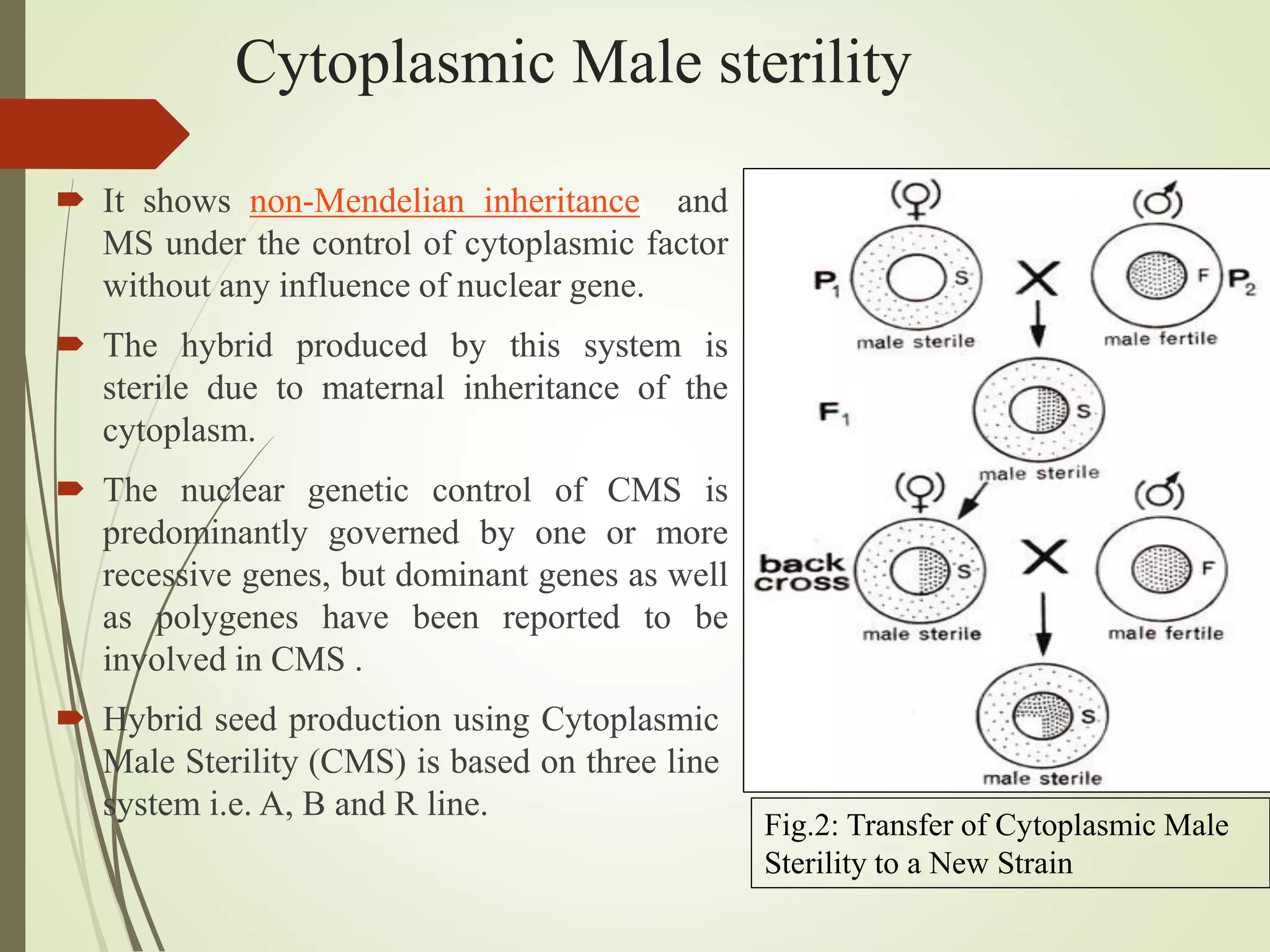 Male sterility in plants | PDF