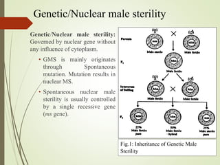 Male sterility in plants | PDF