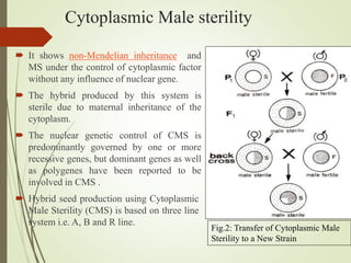 Male sterility in plants | PDF