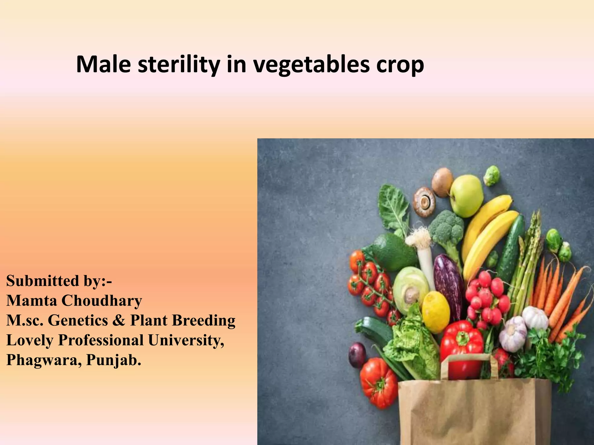 Male sterility in vegetable crops | PPTX
