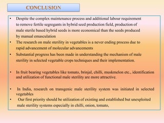 Male sterility in vegetable crops | PPTX