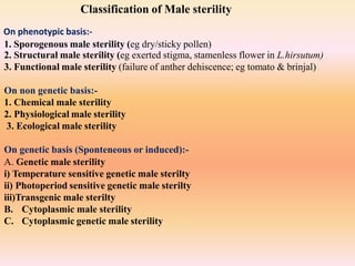 Male sterility in vegetable crops | PPTX