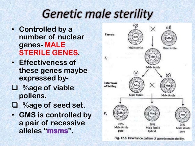 Male sterility & its significance in plant breeding