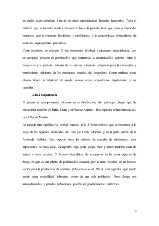 Maleza parasitIcas | DOCX