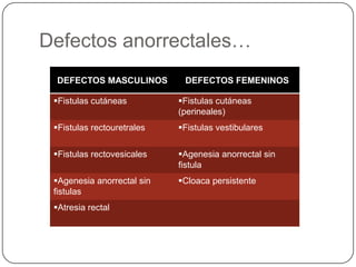 Malformación anorrectal | PPTX