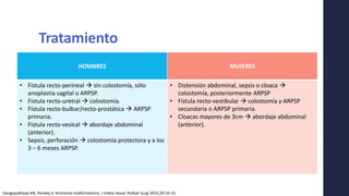 Malformación anorrectal | PPTX
