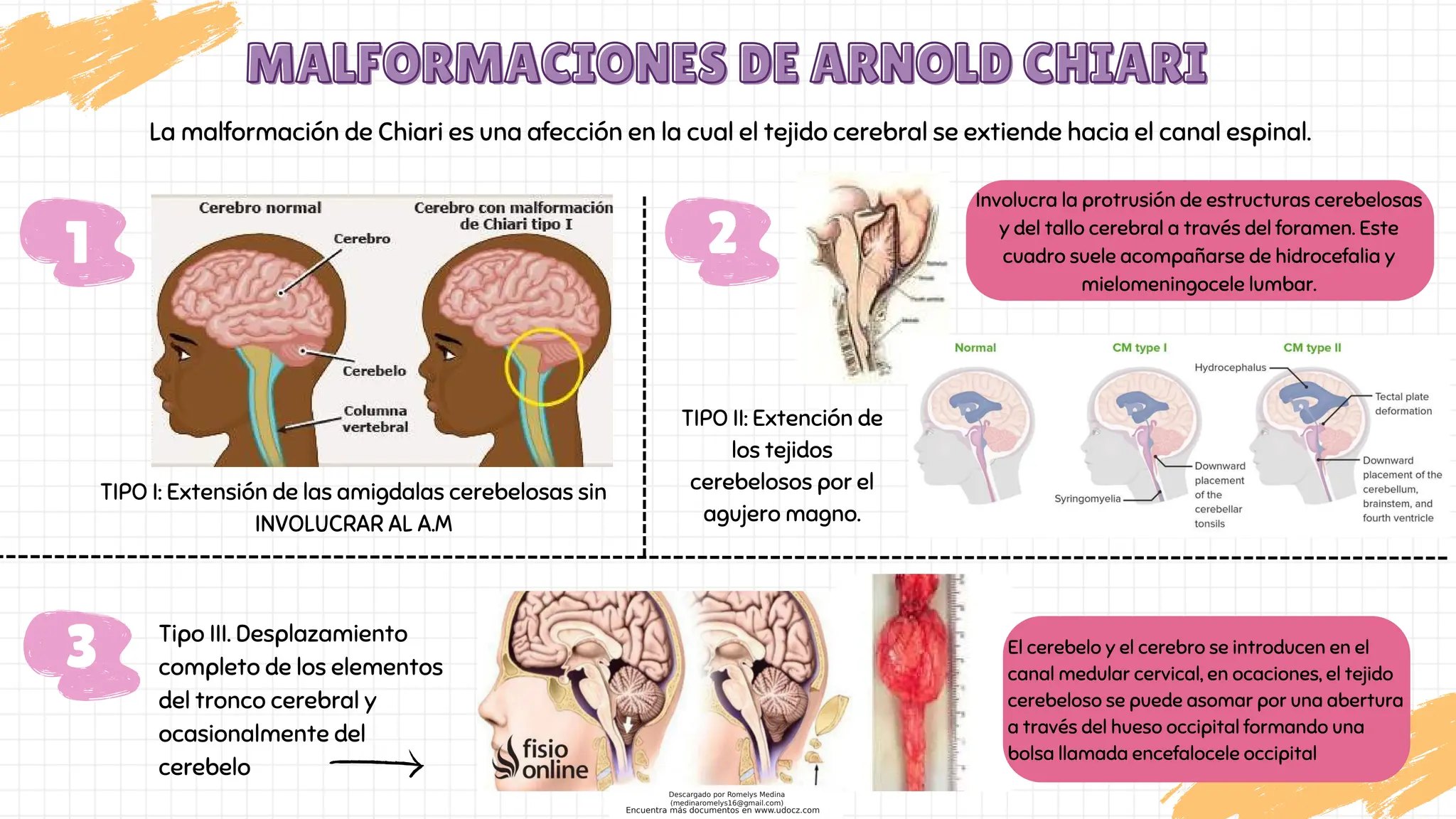 malformaciones-en-el-707782-downloadable-1420131.pdf