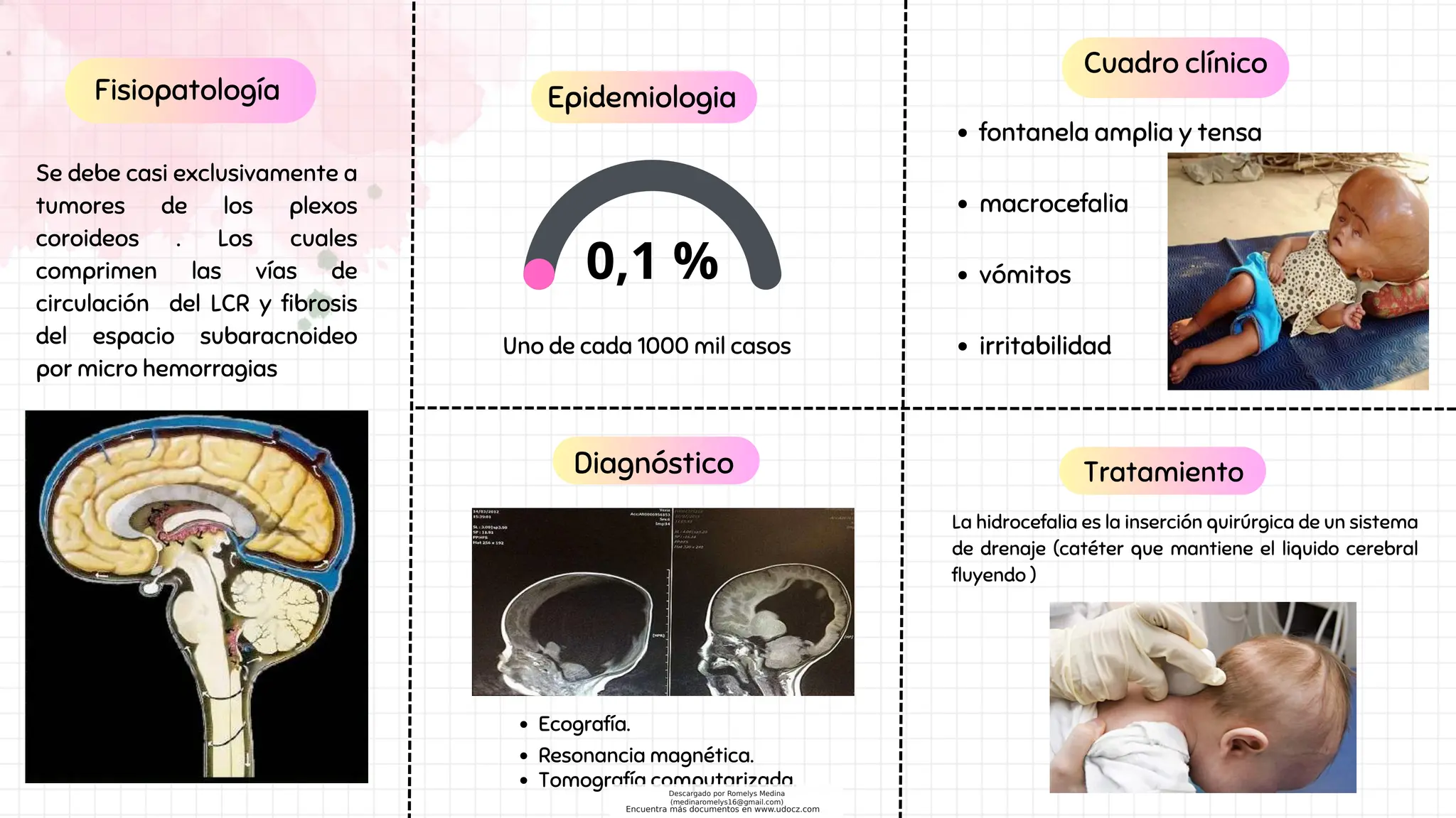 malformaciones-en-el-707782-downloadable-1420131.pdf