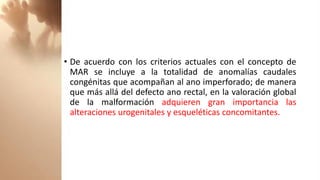 Malformaciones anorrectales | PDF