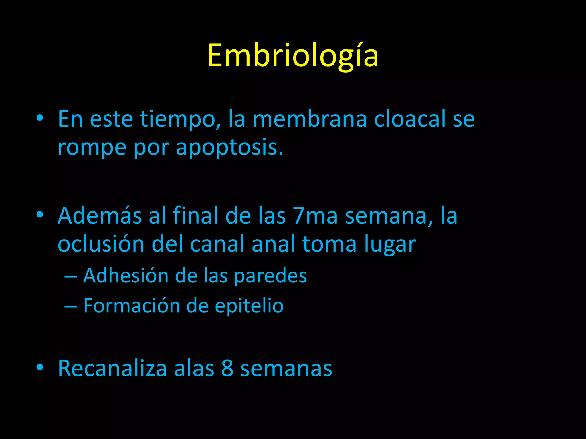 Malformaciones anorrectales | PPTX