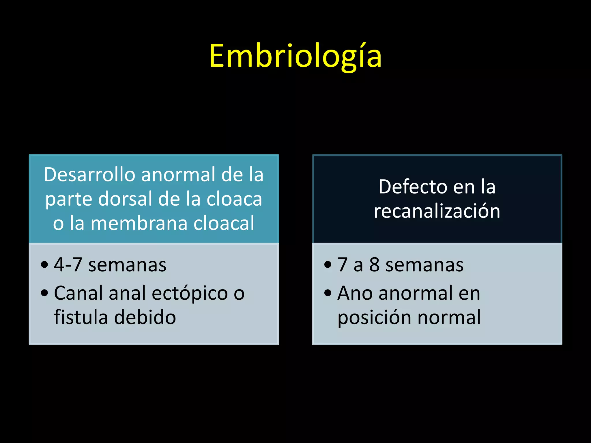 Malformaciones anorrectales | PPTX