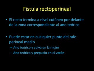 Malformaciones anorrectales | PPTX