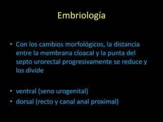 Malformaciones anorrectales | PPTX