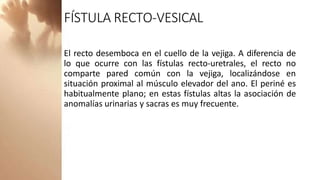 malformacionesanorrectales.pptx
