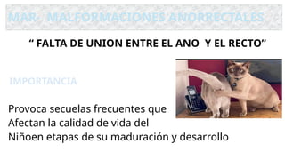 Malformaciones anorrectales EN PEDIATRIA HD.pptx