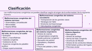 Malformaciones congénitas Del embarazo ginecología y obstetricia | PPTX