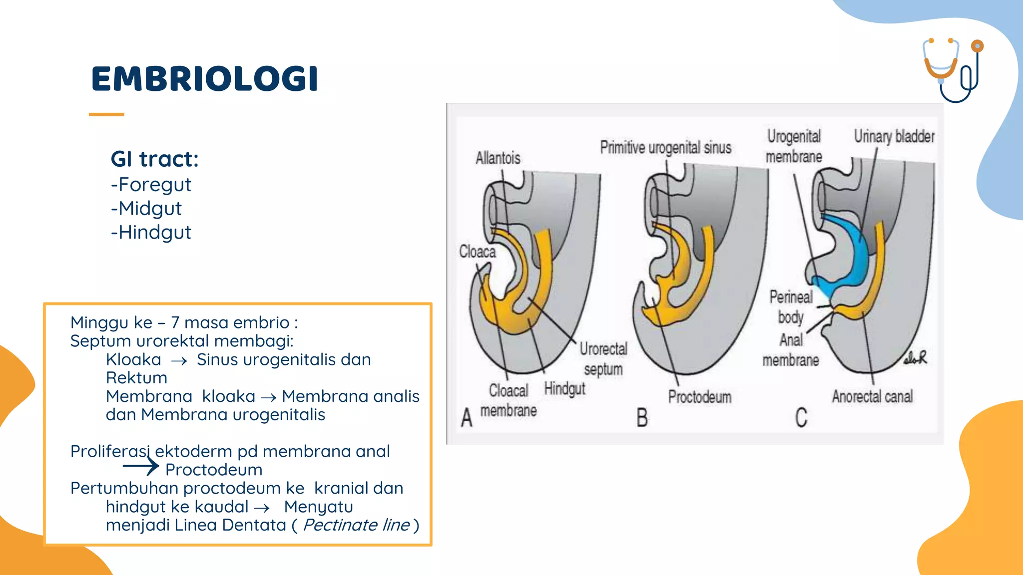 MALFORMASI ANOREKTAL-1.pptx