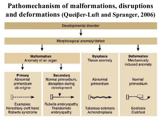 Malformations