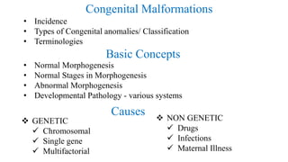 Malformations | PPTX