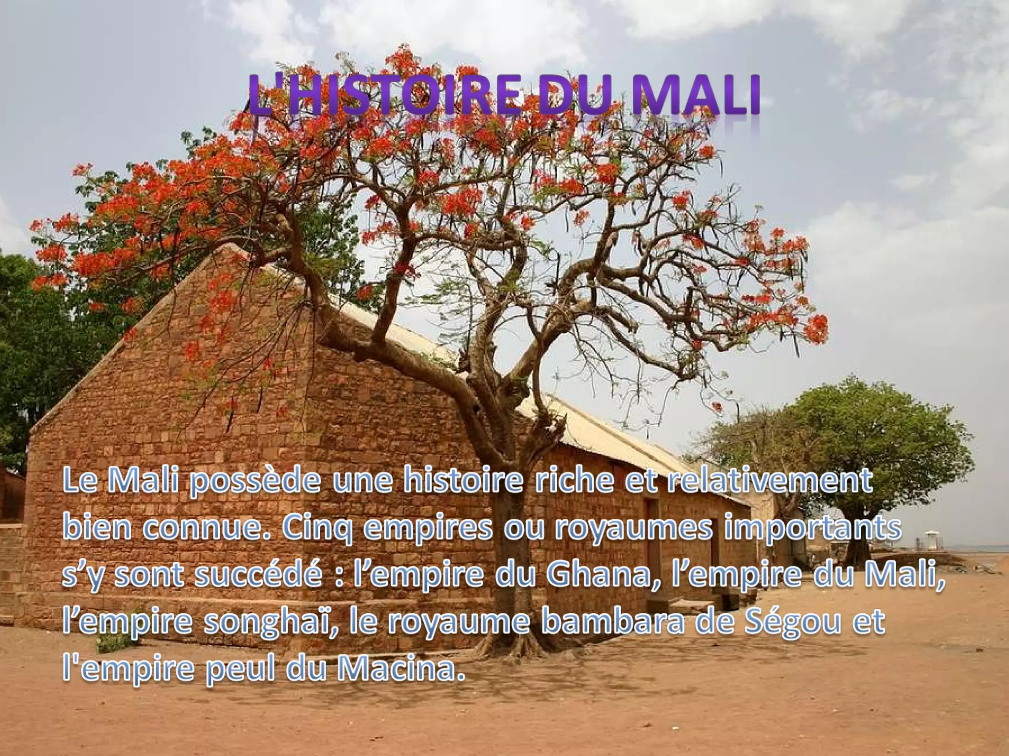 Mali | PPT