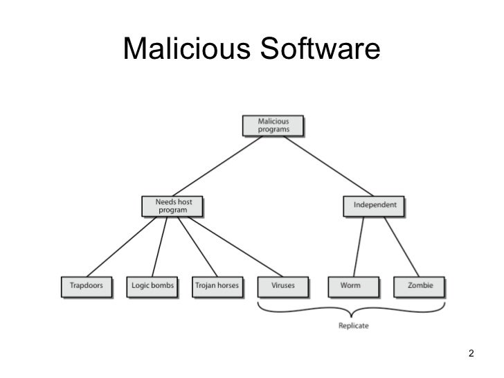 Malicious software